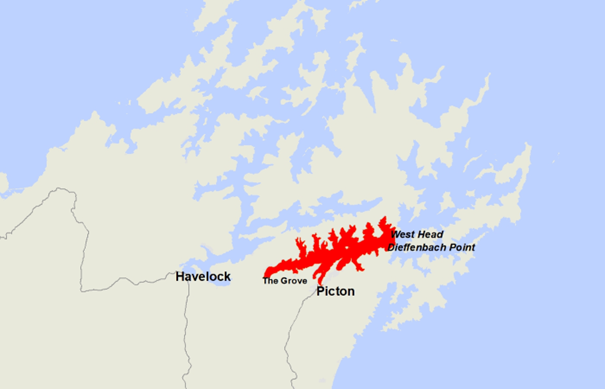 Shellfish biotoxin alerts | NZ Government