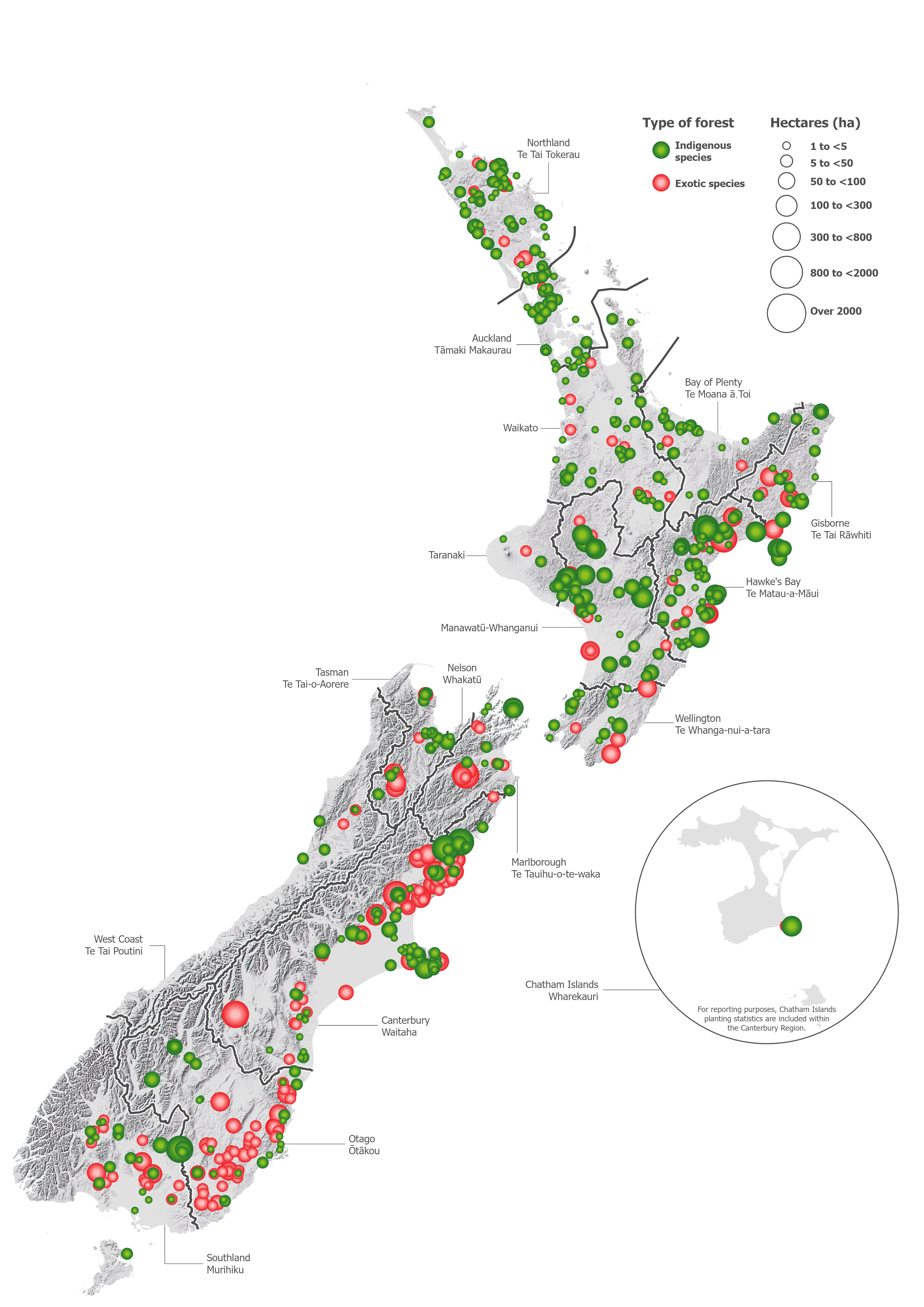 One Billion Trees Fund approved Direct Grants | MPI | NZ Government