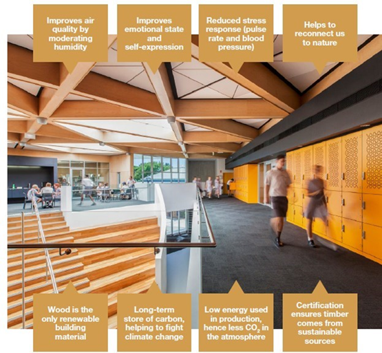 Mid-Rise Wood Construction | MPI | NZ Government