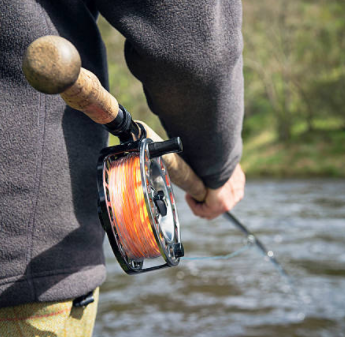 Fishing rules | MPI | NZ Government