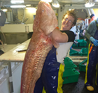 Home | MPI - Ministry for Primary Industries. A New Zealand Government ...