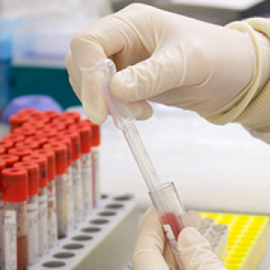 National Animal Health Laboratory | MPI | NZ Government