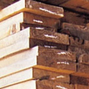 Importing timber | MPI | NZ Government