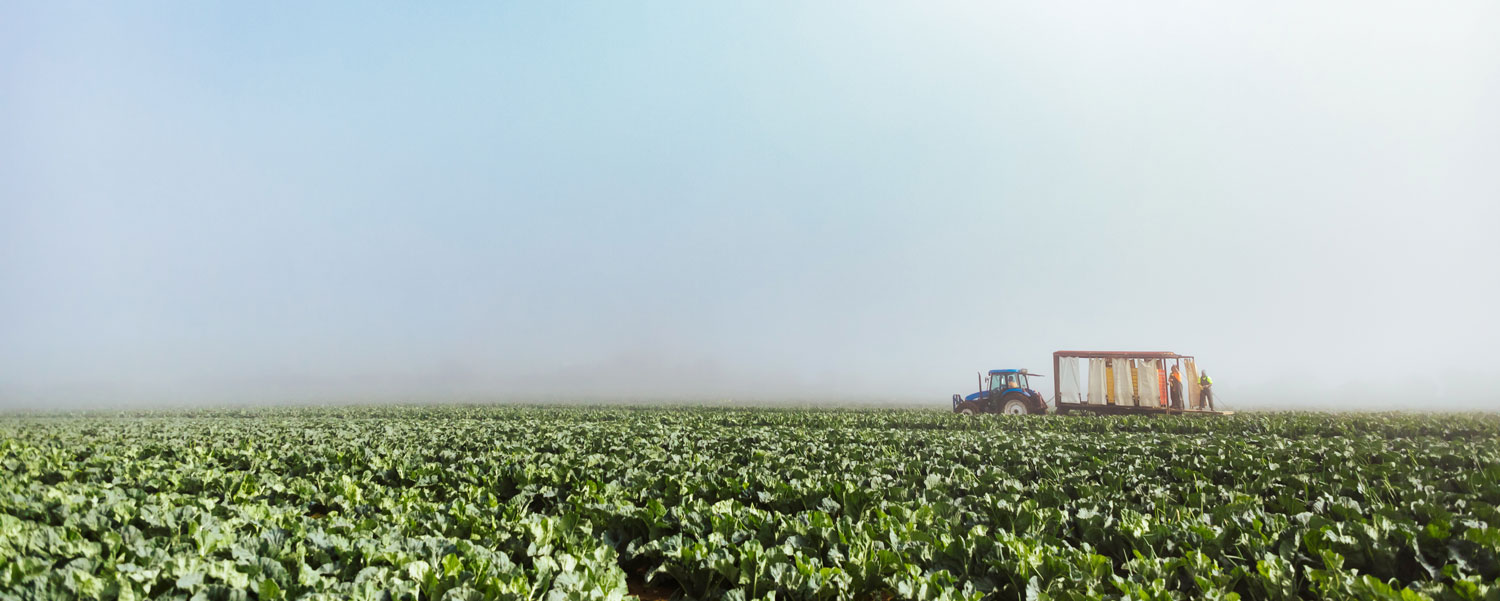 Funding and rural support | MPI | NZ Government