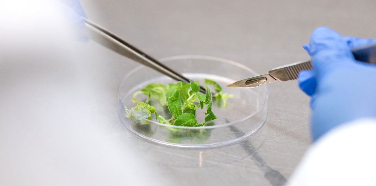 Science | MPI | NZ Government